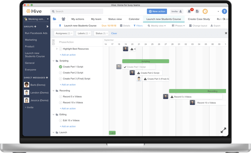 Hive: Project Management Software for Teams | Apiko